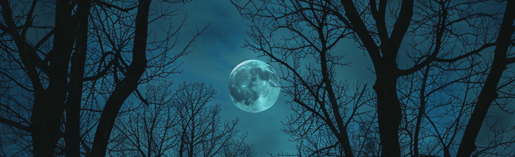 Vampire Mythology and Symbolism: Darkness and Desire in Novels